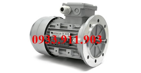 IPM 80B V400 Động cơ Motor Nerimotori, Nerimotori Viet Nam 33445390 ...