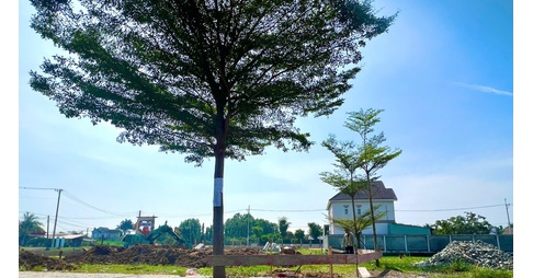 Đất nền Củ Chi Sở hữu ngay với giá chỉ từ 1,5 tỷ 34097698 | Rongbay.com