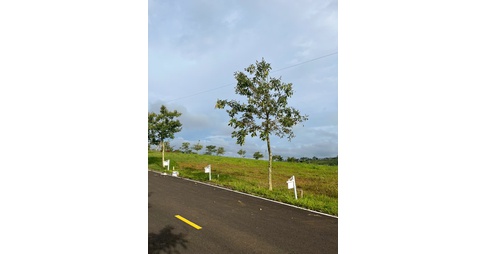 Bán nhanh lô đất nghỉ dưỡng CHỈ 950 TRIỆU - BẢO LỘC 34234944 | Rongbay.com