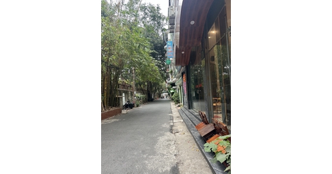 Biệt phủ nguyễn du đất quý nhân, tụ khí sinh tài 34342114 | Rongbay.com
