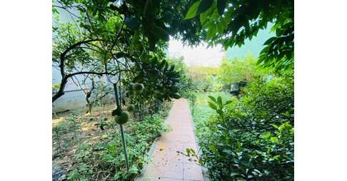 Mặt phố nguyễn du, tài lộc hội tụ, nhà đẹp như tranh 34342097 | Rongbay.com