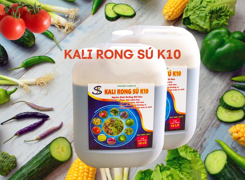 Kali Rong Sú Dưỡng Chất Thiết Yếu Đối Với Cây Trồng 32819943 | Rongbay.com